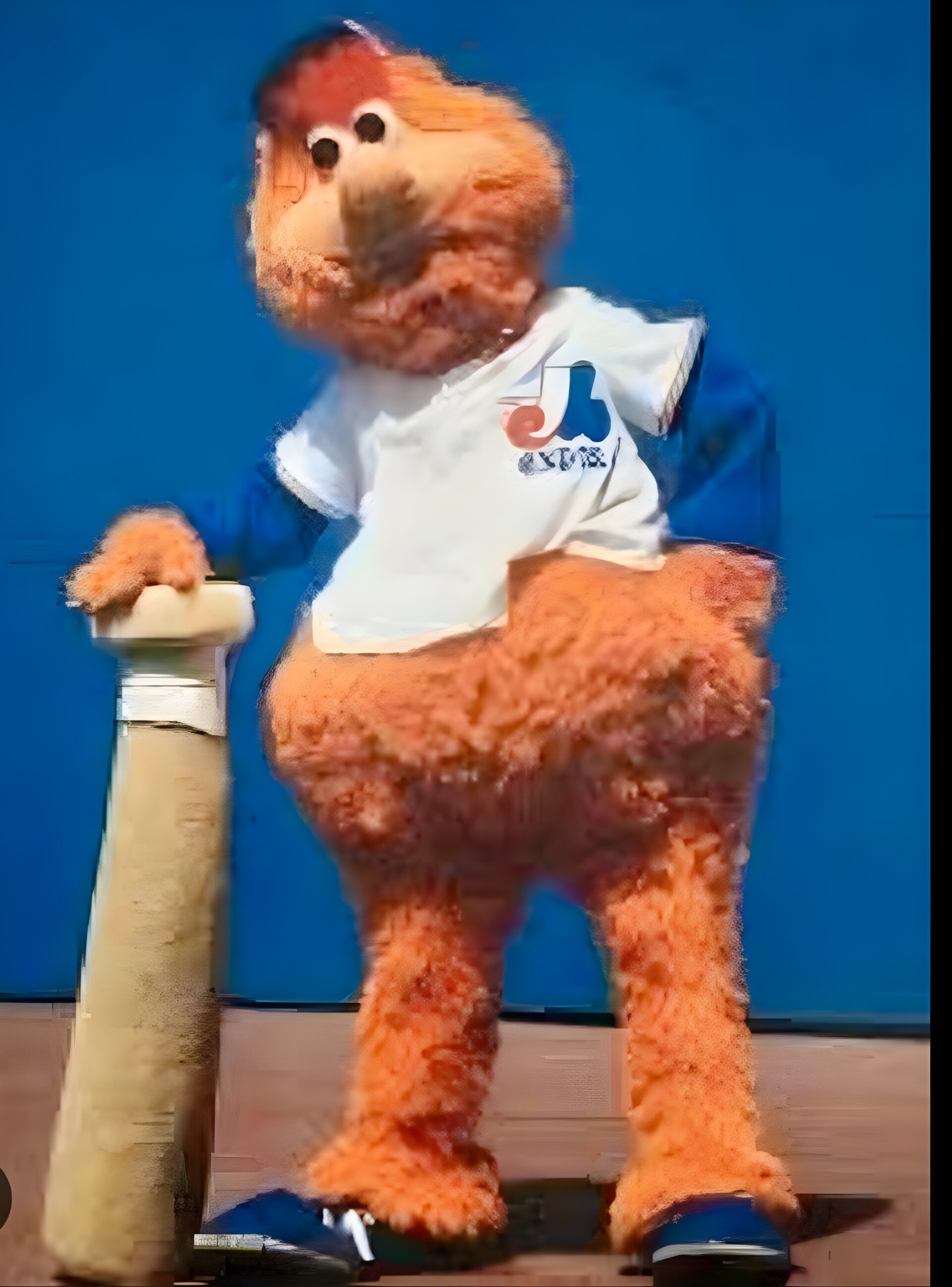 Dans la peau de Youppi | La Métropole