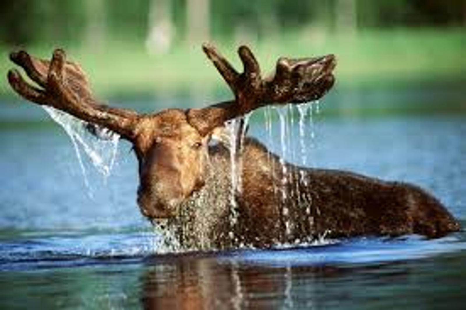 La Métropole | Culture, arts, gastronomie, voyage et société